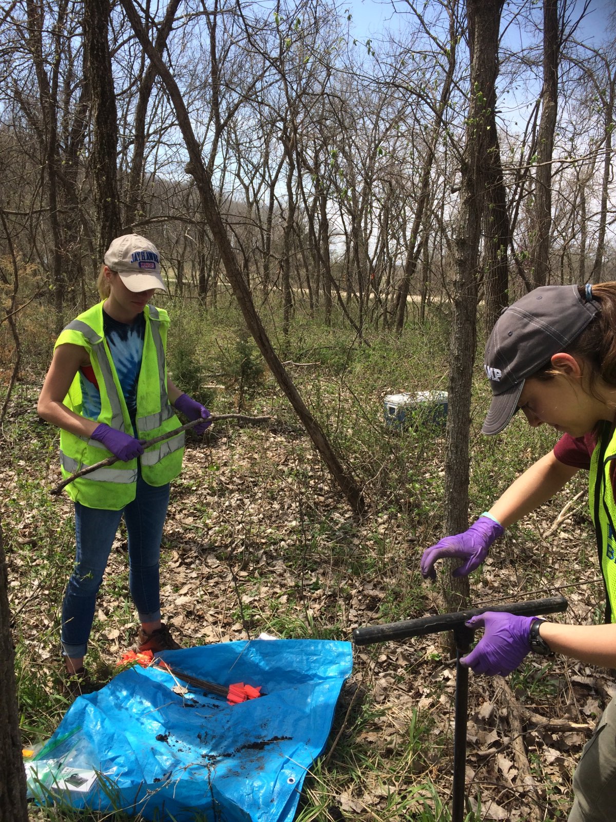 Research – Hauser Lab for Ecosystem Ecology